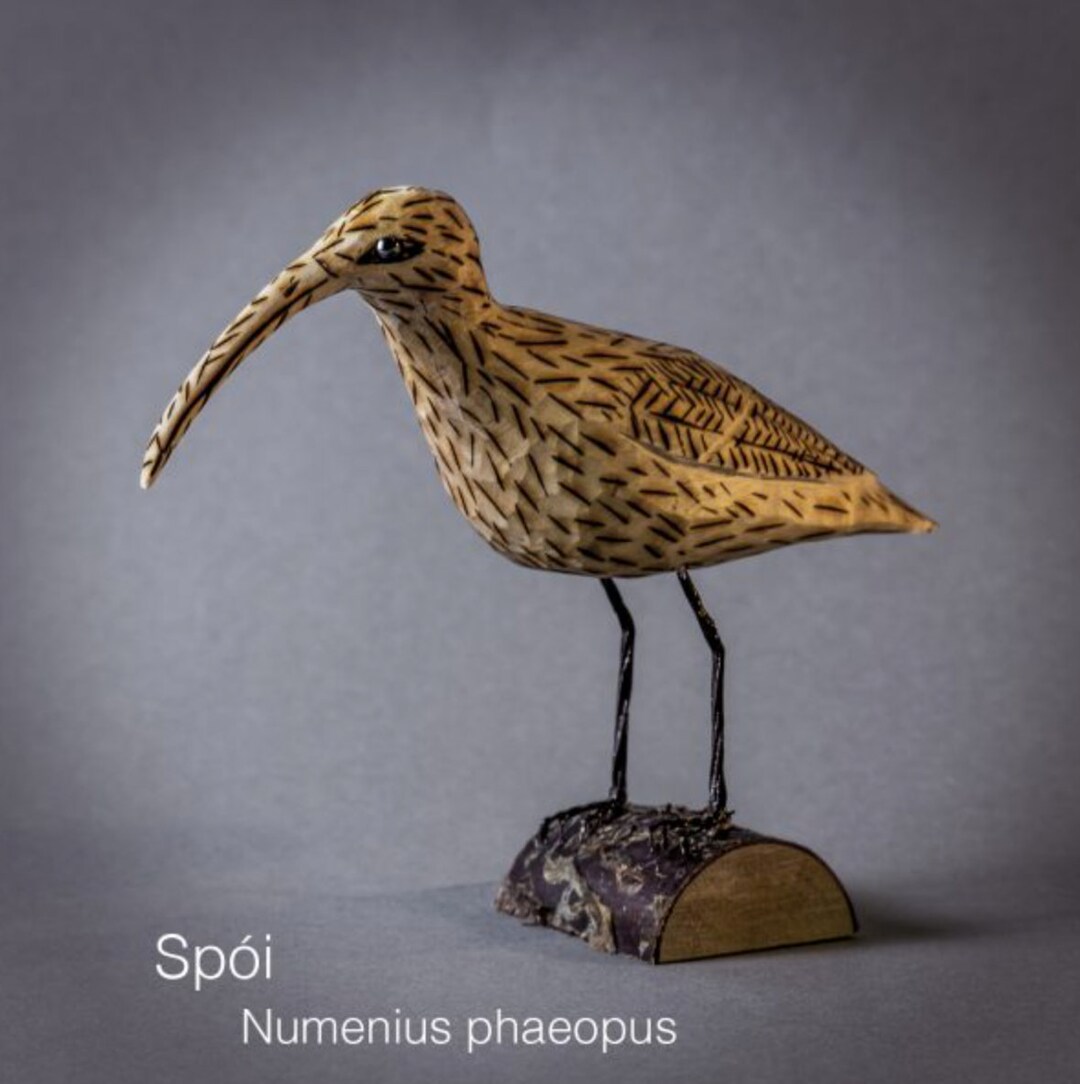 Hand Carved Whimbrel Bird From Icelandic Birch - Numenius Phaeopus ...
