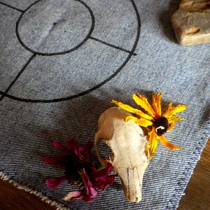 Throwing of the Bones Casting Cloth, Divination Country Magic, Conjure ...