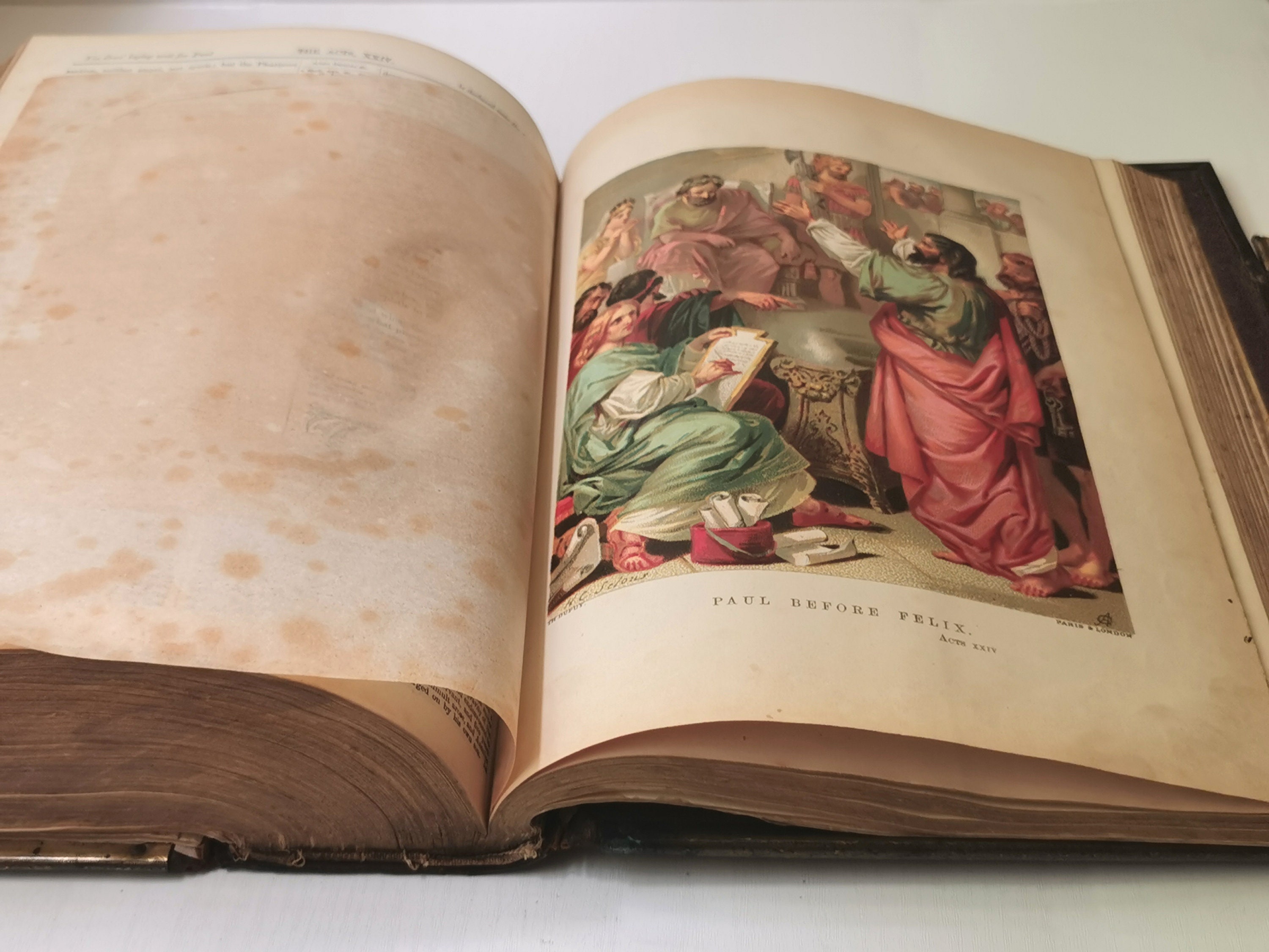 Leather Holy Bible 1880s Colour Illustrated Family Bible - Etsy