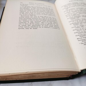 Birds in London (1923) Hudson, RARE First Limited Edition Decorative ...