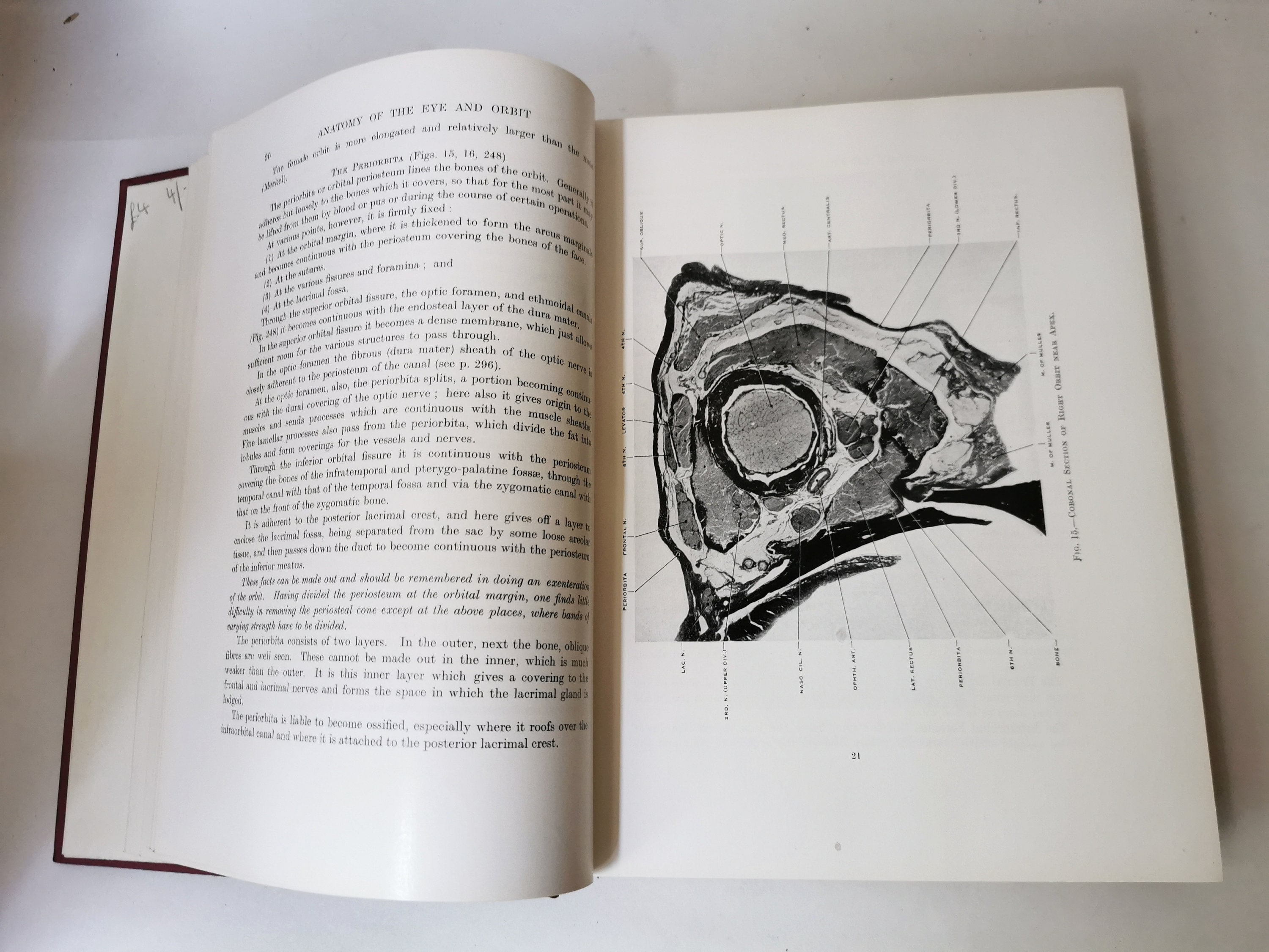 Anatomy of the Eye and Orbit (1961) Eugene Wolff, Illustrated Medical ...