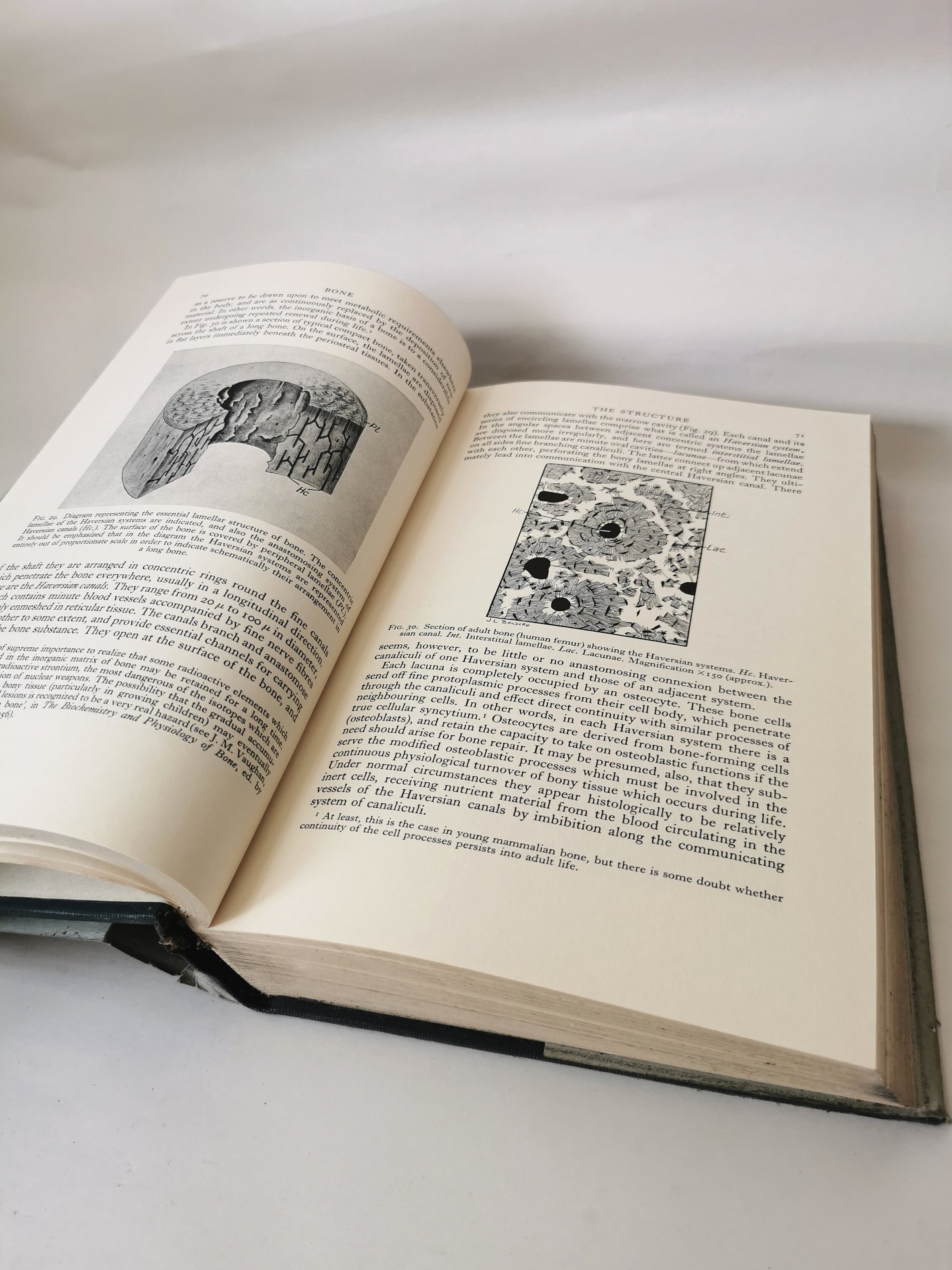 The Tissues of the Body (1958) Le Gros Clark, Vintage Illustrated ...