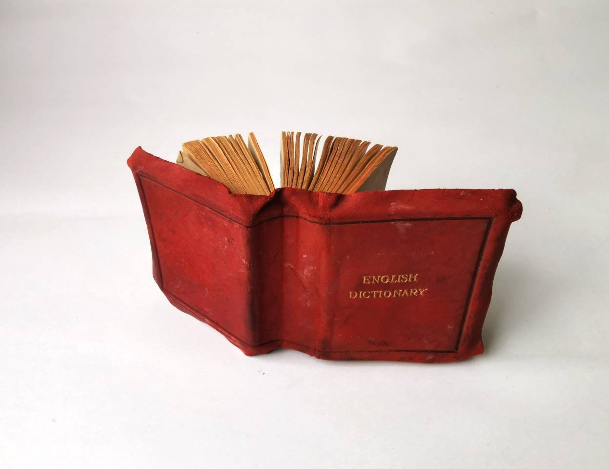 Bryce's Thumb Dictionary (c. 1890s) Suede Leather Victorian Rare ...