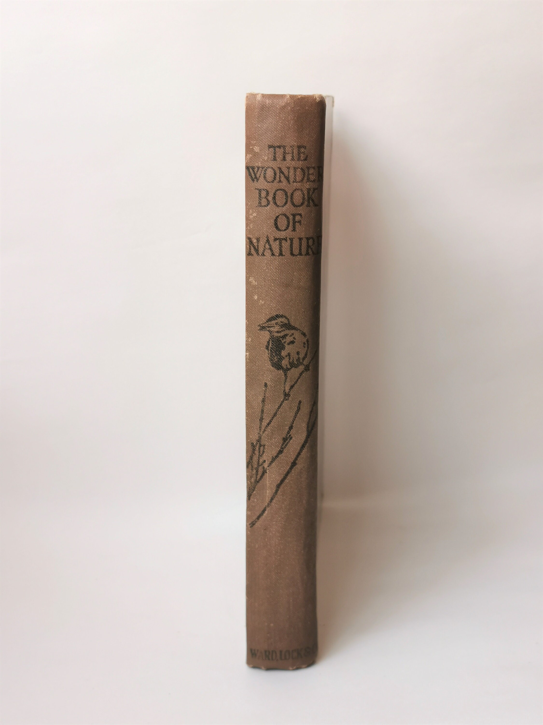 The Wonder Book of Nature (c. 1930) 350+ Vintage Illustrations, Nature ...