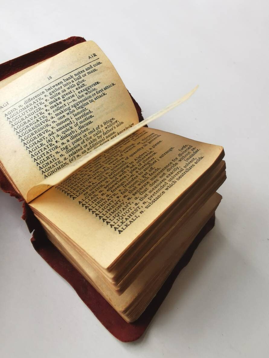 Bryce's Thumb Dictionary c. 1890s Suede Leather Victorian Rare ...