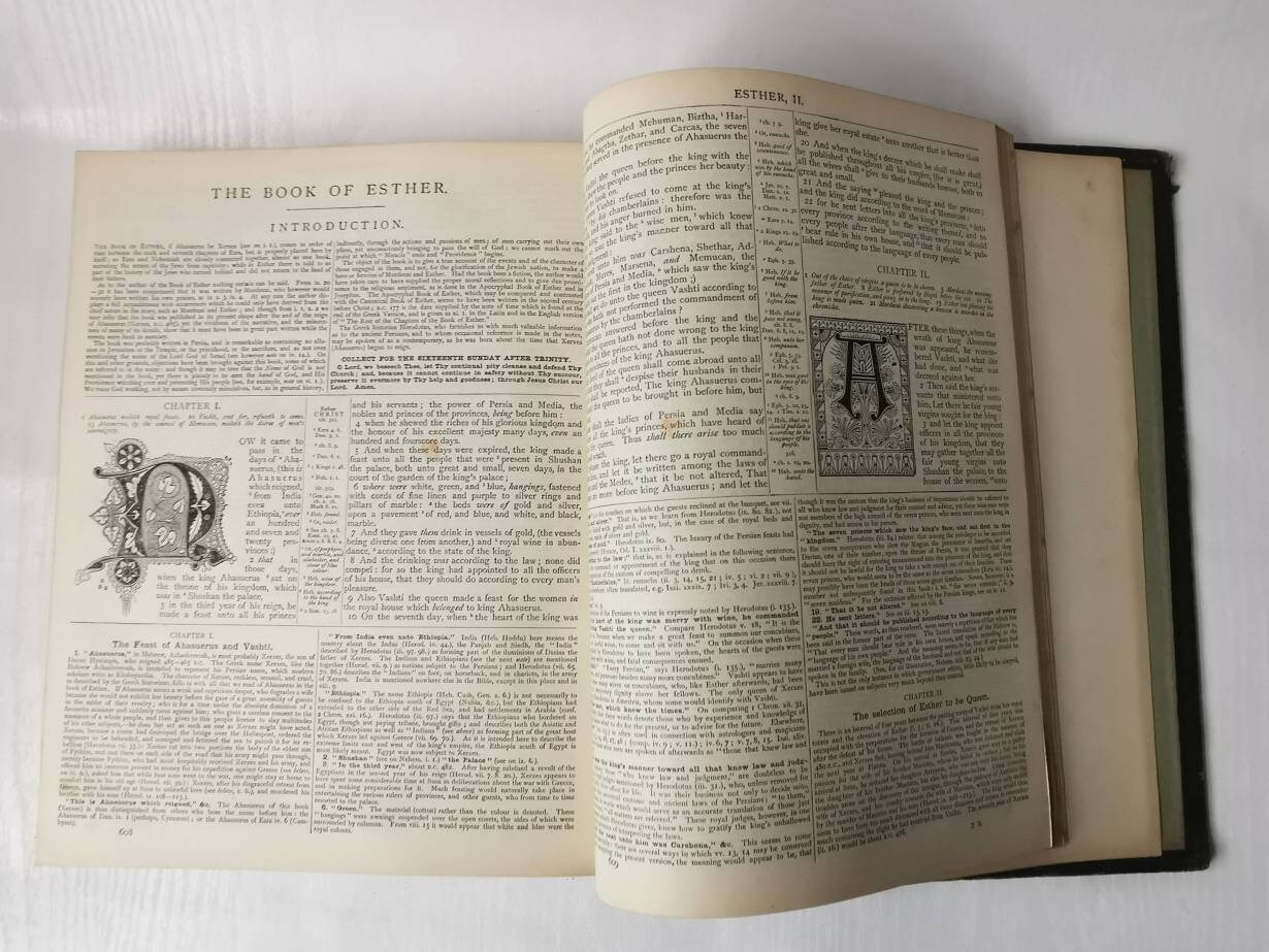 Churchman's Family Bible (c. 1870s) Illustrated Tract Society Rare ...
