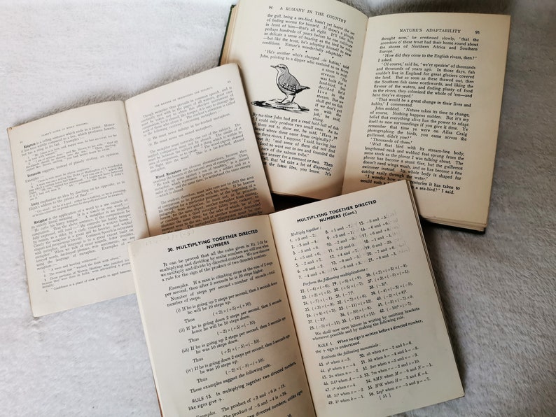 Vintage Text Book Bundle 3 Three Book Collection of Algebra - Etsy