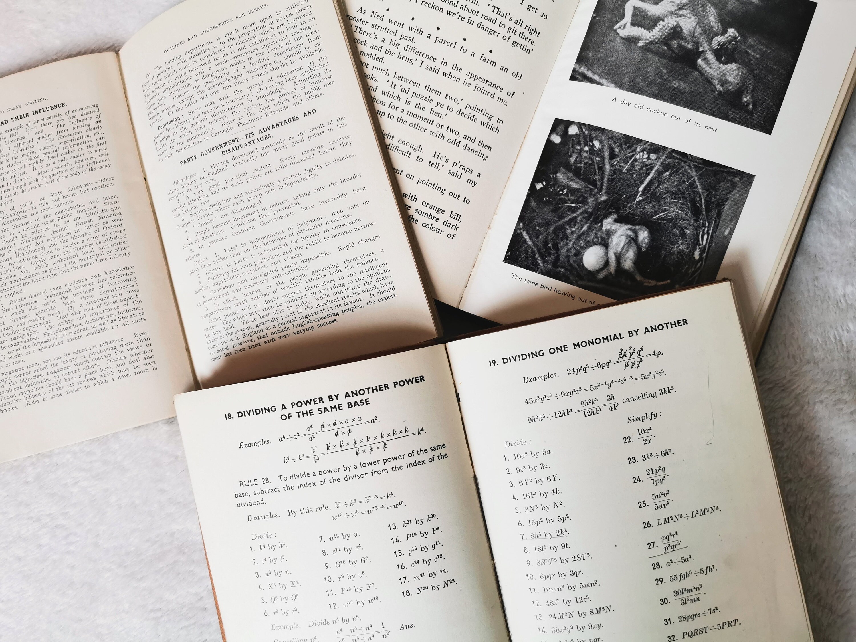 Vintage Text Book Bundle 3 Three Book Collection of Algebra - Etsy