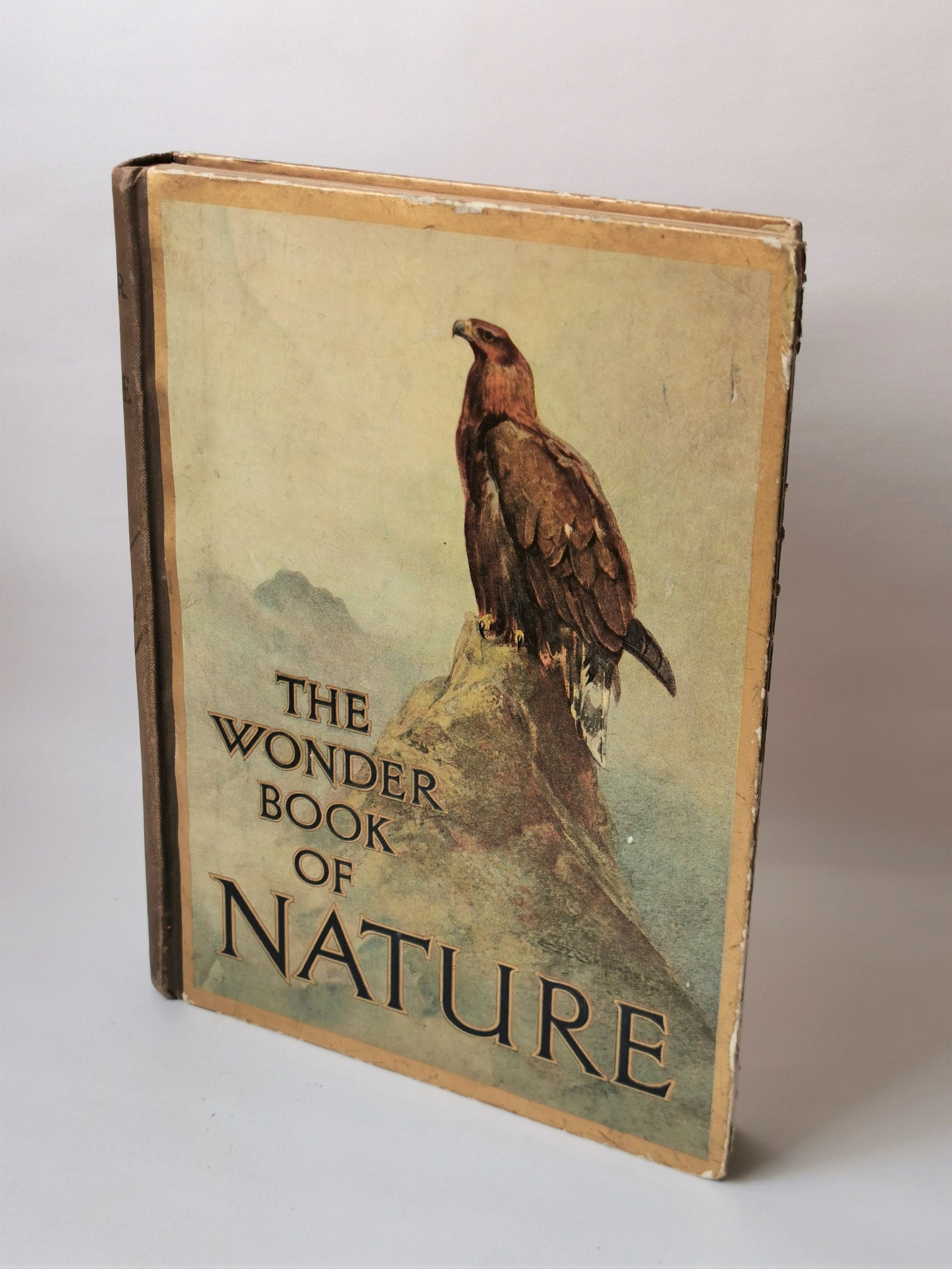The Wonder Book of Nature (c. 1930) 350+ Vintage Illustrations, Nature ...