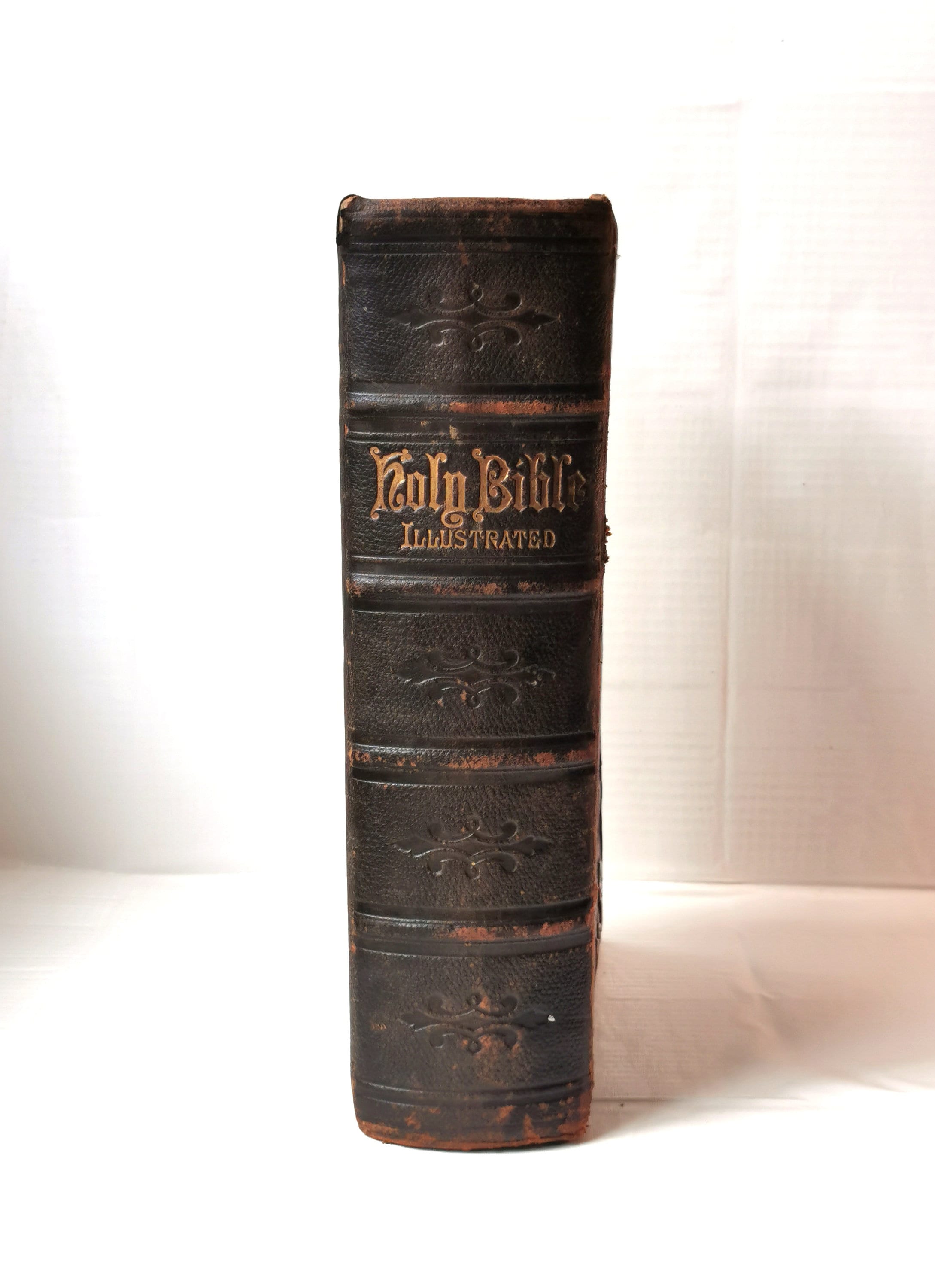 Self-interpreting Family Bible 1880s Antique Leather Brown's Family ...