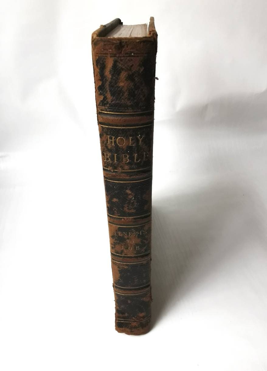 Churchman's Family Bible (c. 1870s) Illustrated Tract Society Rare ...