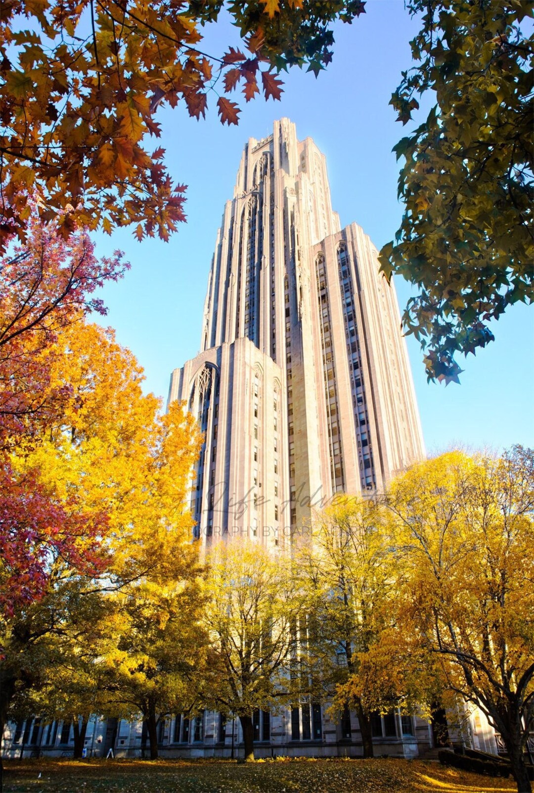 Cathedral of Learning With Fall Leaves Photo | University of Pittsburgh ...