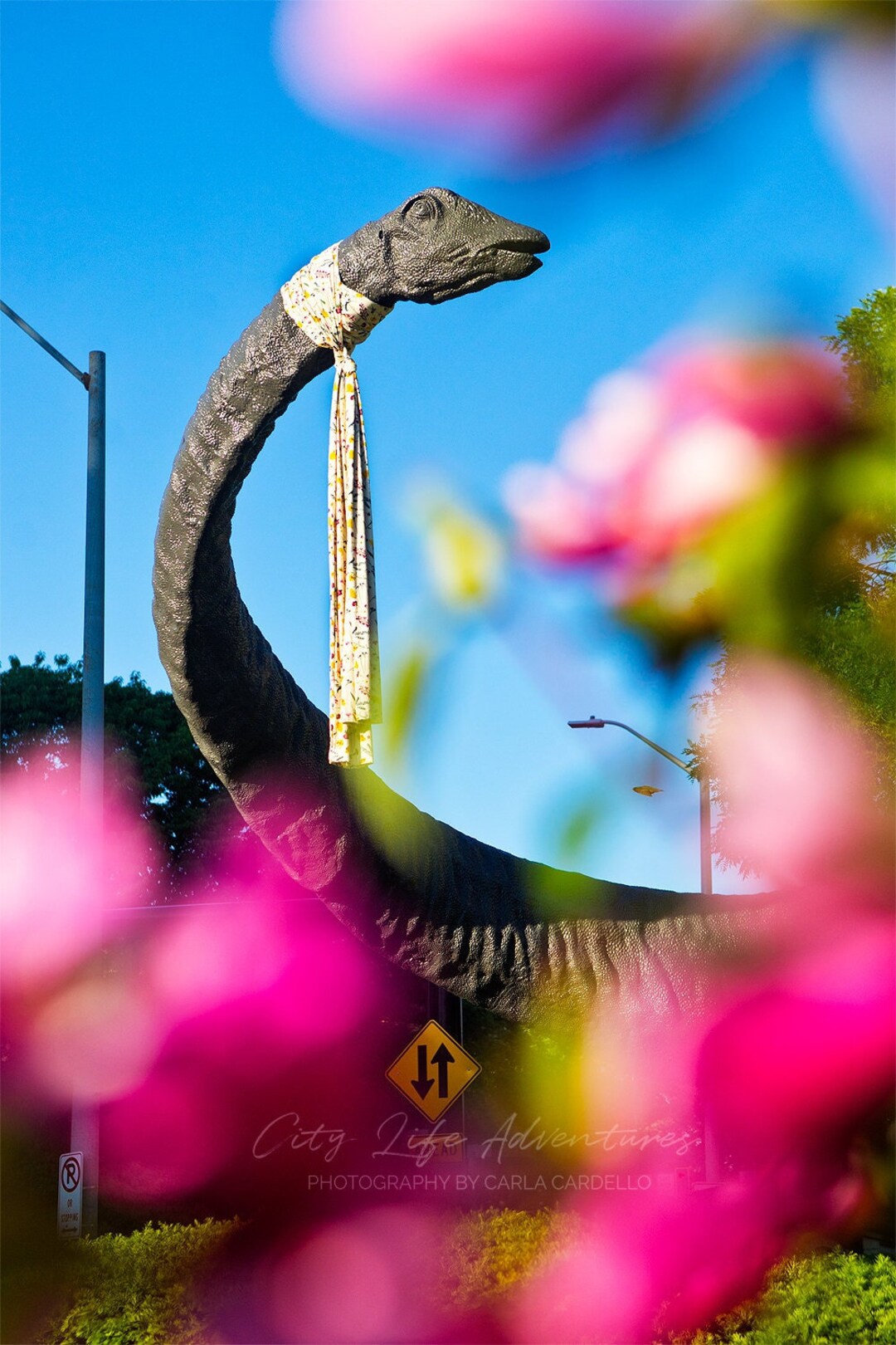 Dippy the Dinosaur With Flowers Photo Pittsburgh Print - Etsy