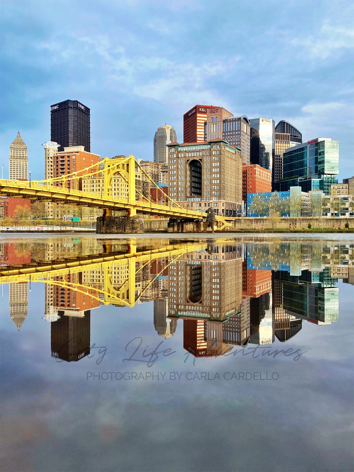 Pittsburgh Skyline Vertical From North Shore Reflection | Etsy