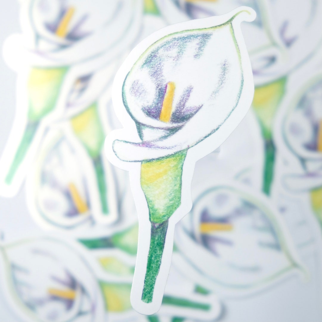 Calla Lily Flower Die Cut Sticker - Etsy