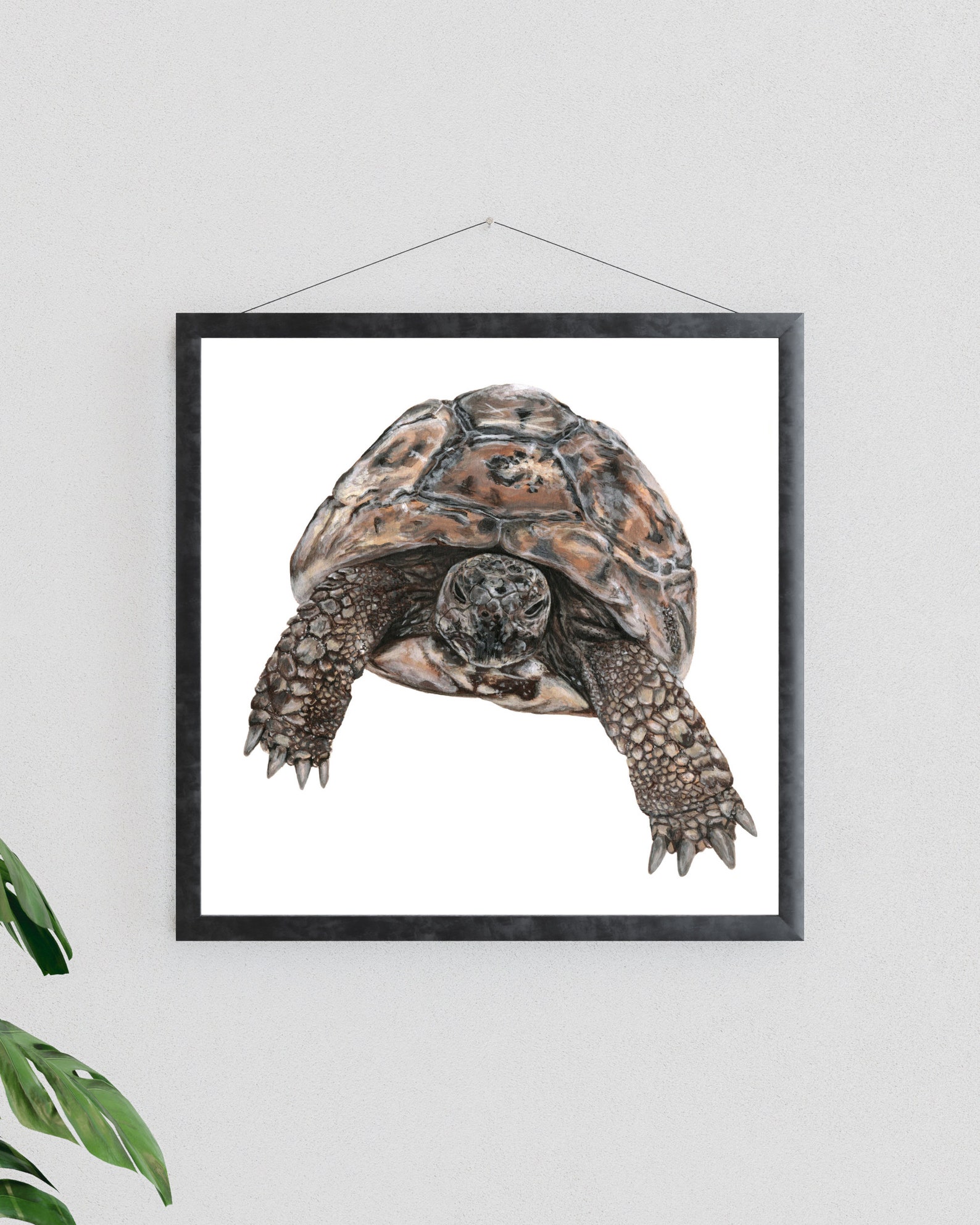 Tortoise Print -acrylic Painting Print -square Art Print - Animal Print ...