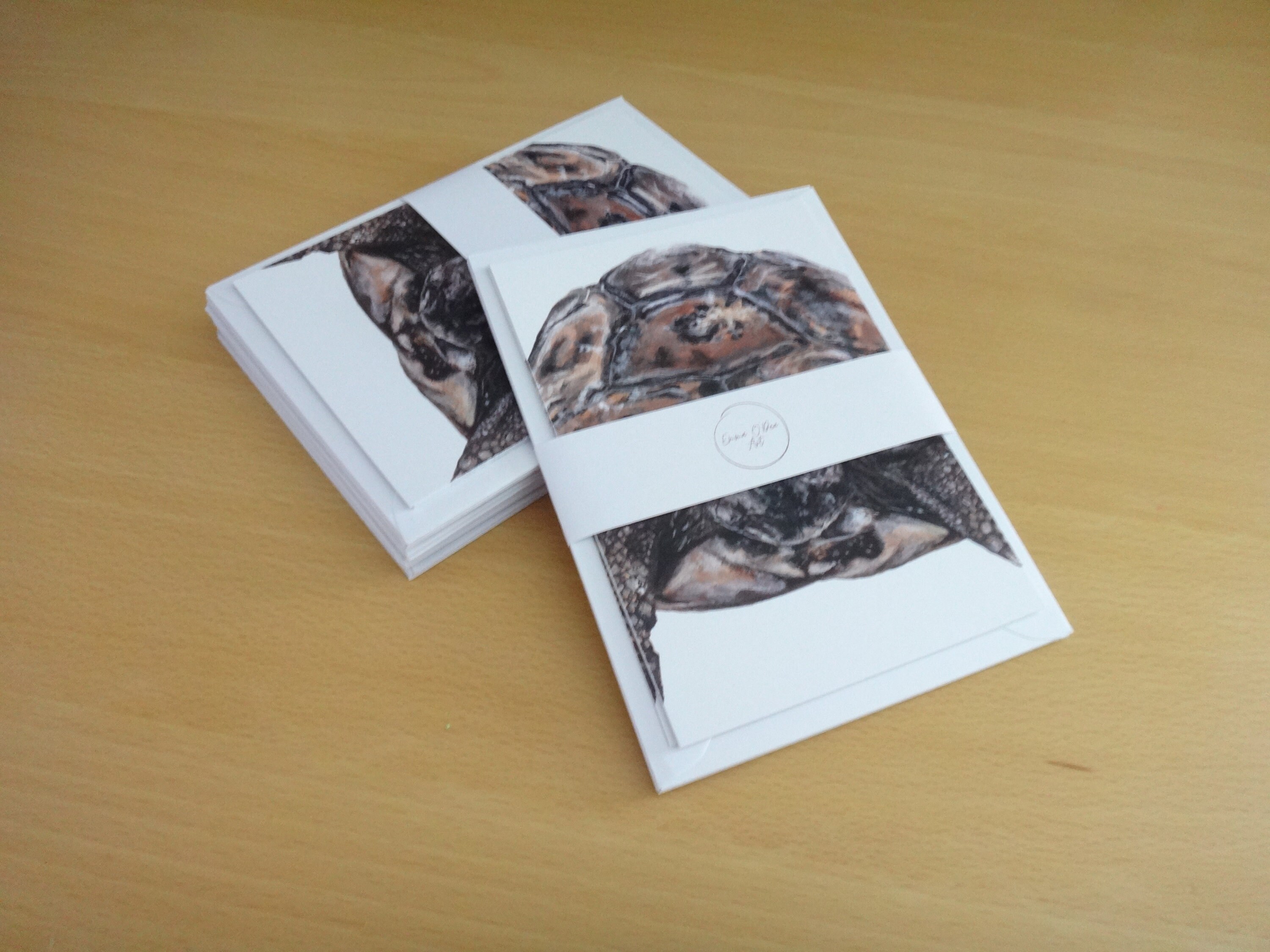 Pack of 5 Tortoise Note Cards With Envelopes-tortoise Note - Etsy