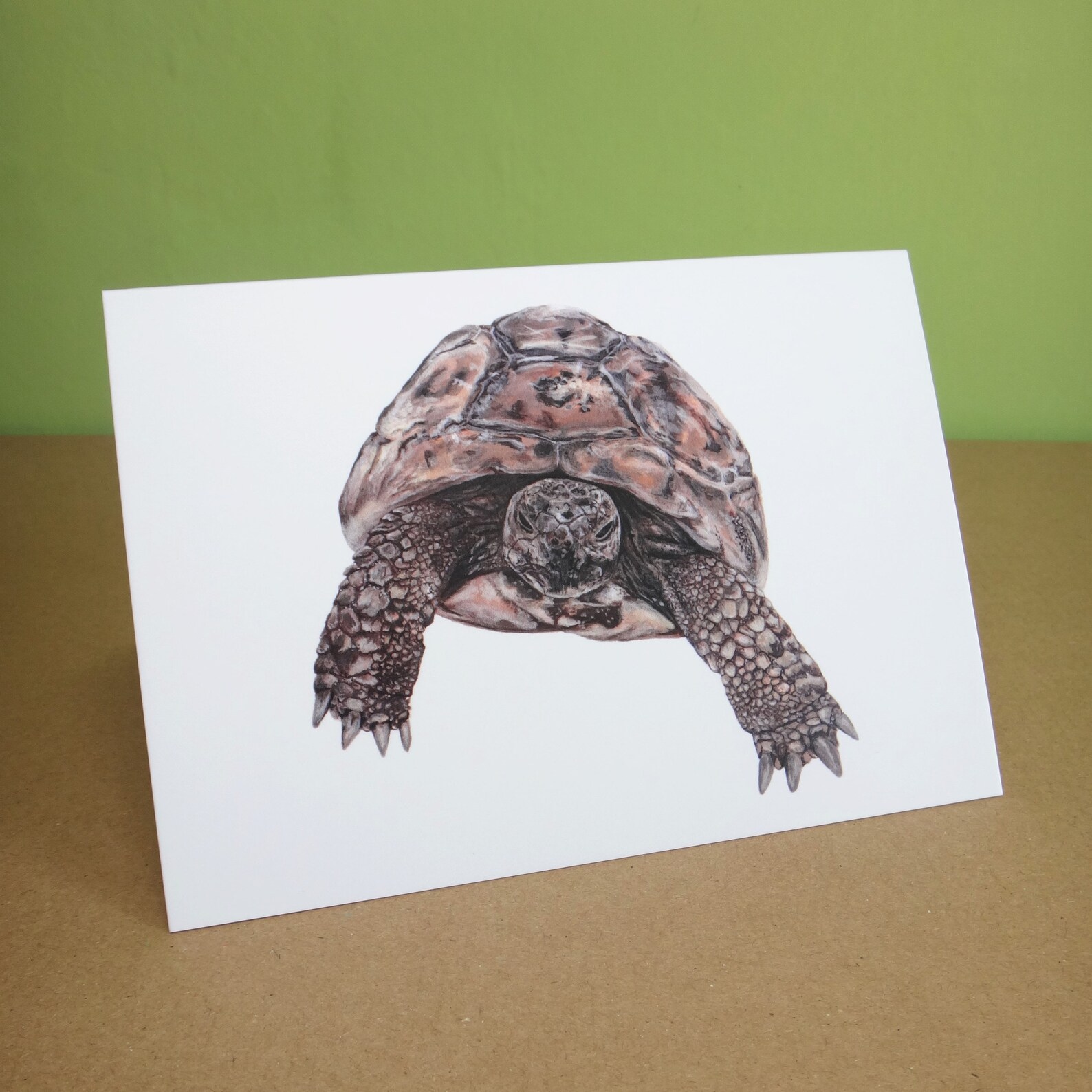 Tortoise Greeting Card New Home Card Birthday Card A6 Card Blank Inside ...