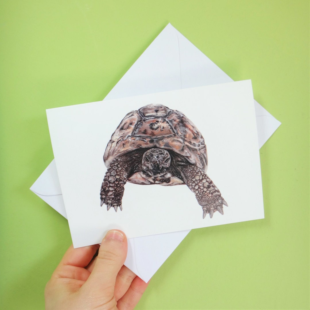 Tortoise Greeting Card - New Home Card - Birthday Card - A6 Card ...