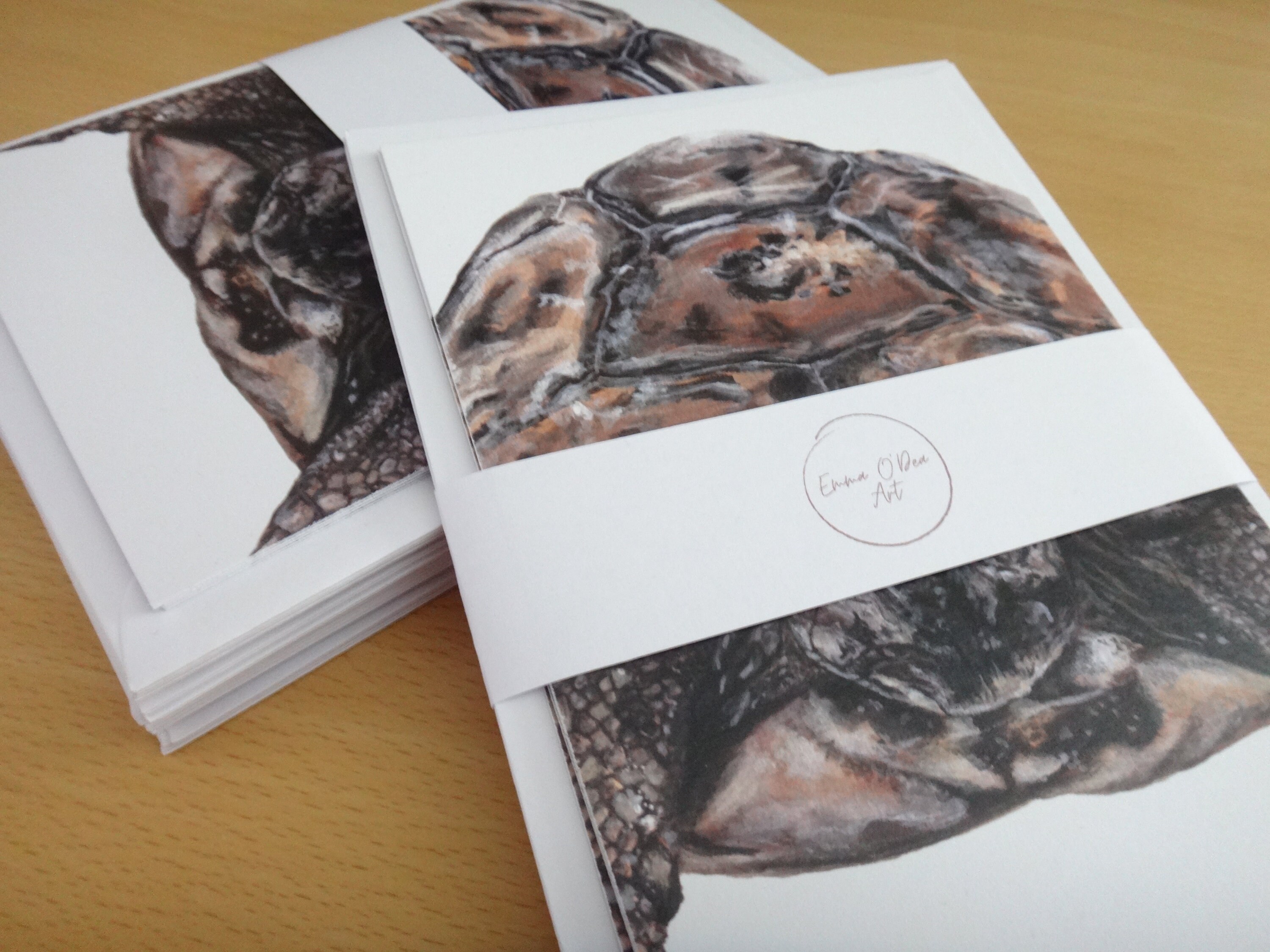 Pack of 5 Tortoise Note Cards With Envelopes-tortoise Note - Etsy