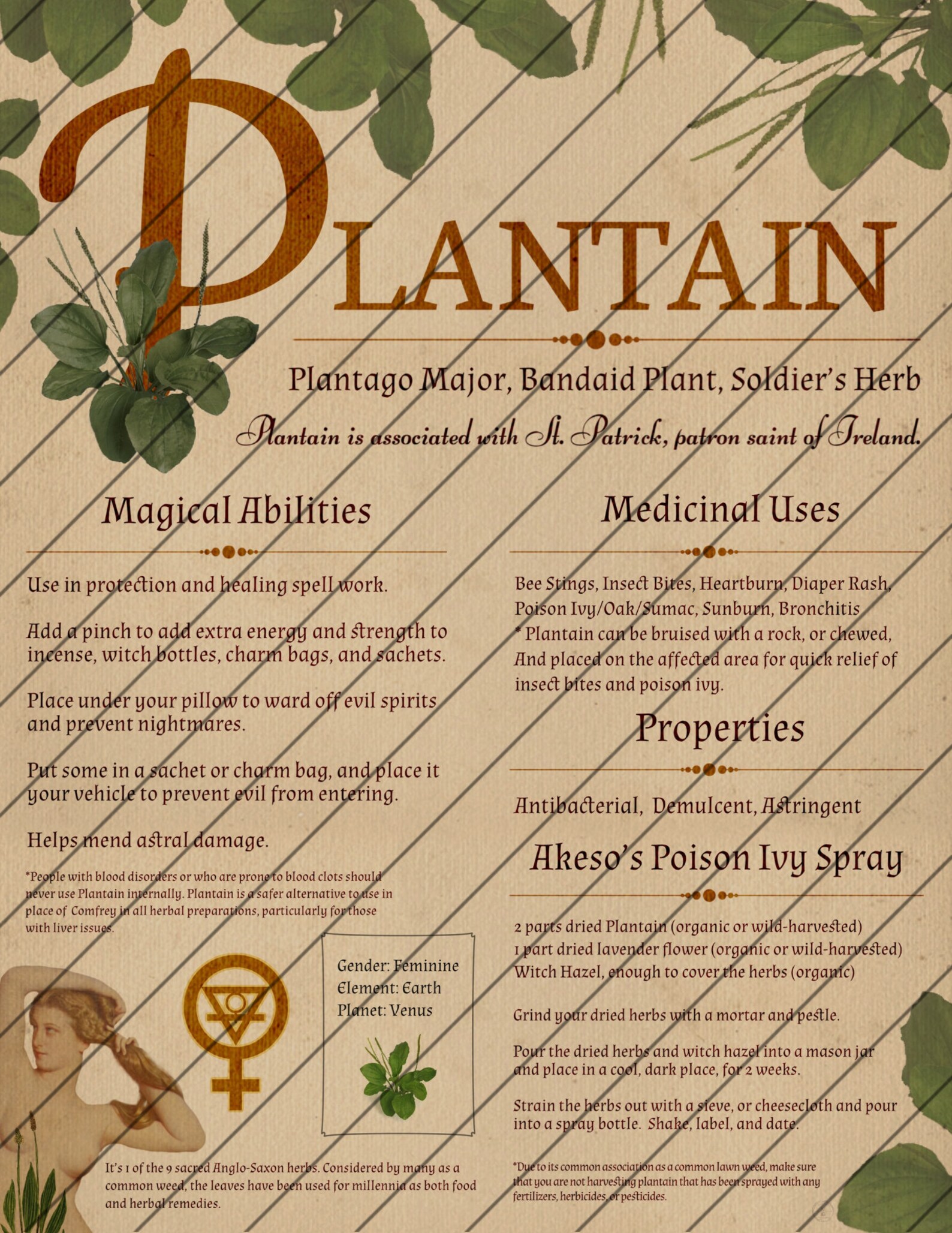 Book of Shadows Pages, Plant Grimoire, Digital Download, Grimoire Pages ...