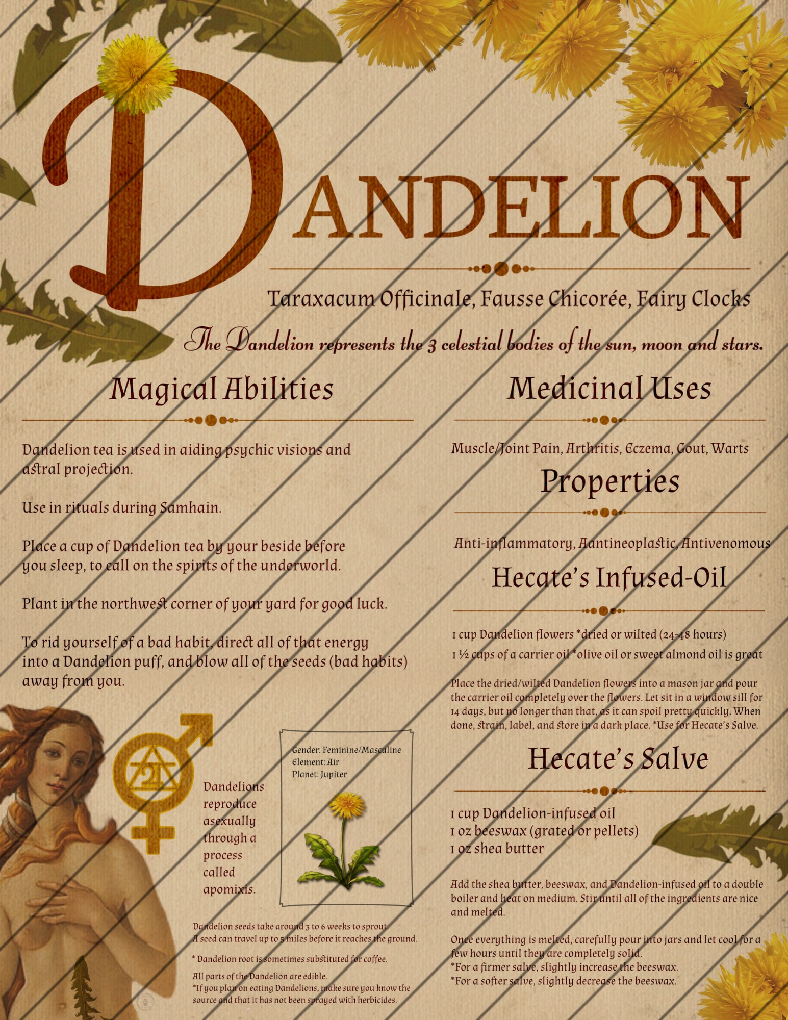 Book of Shadows Pages, Plant Grimoire, Digital Download, Grimoire Pages ...