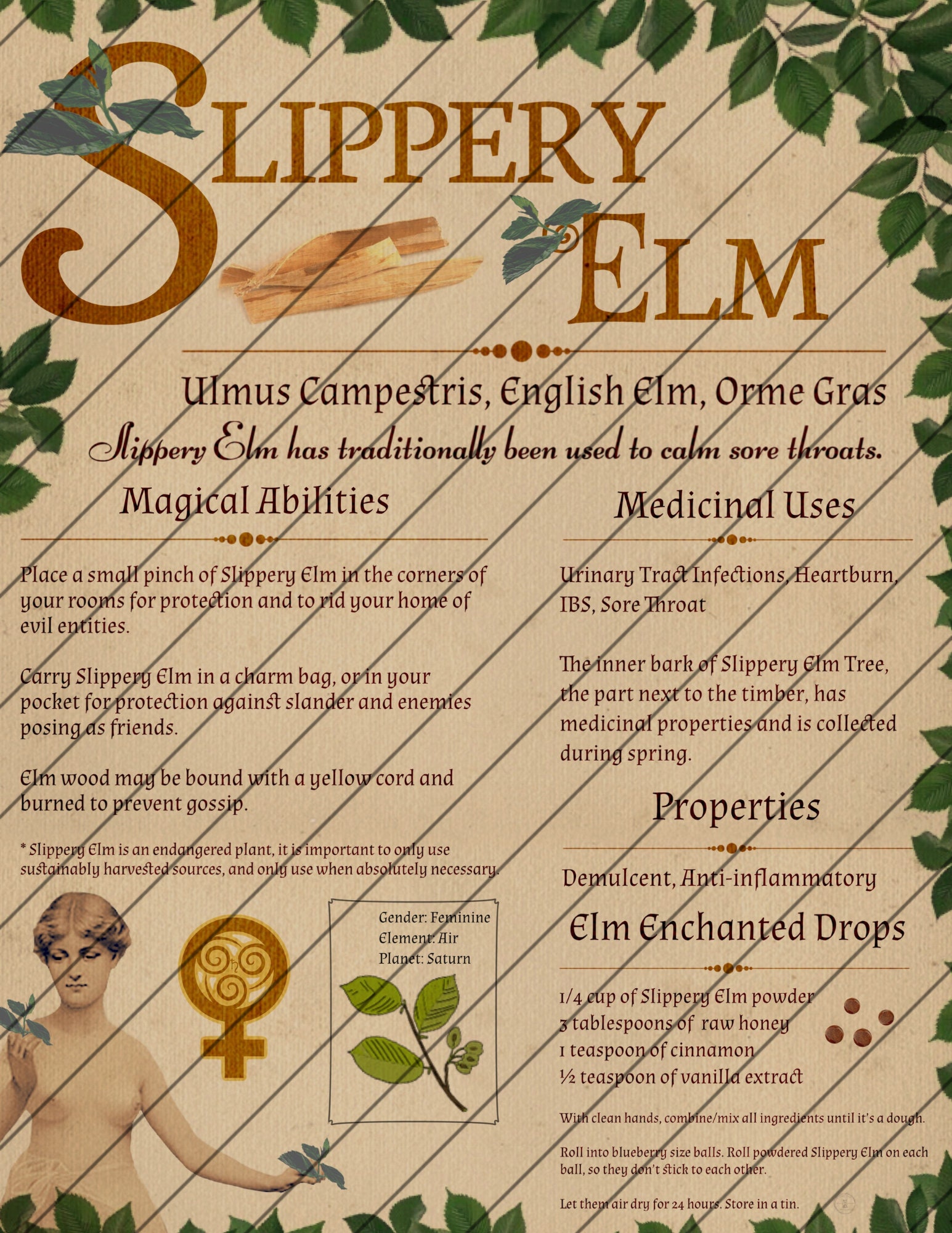 Book of Shadows Pages, Plant Grimoire, Digital Download, Grimoire Pages ...