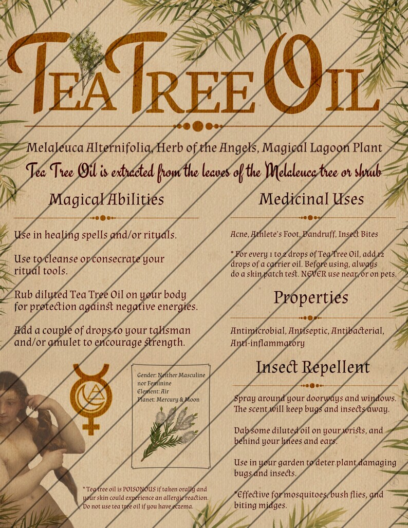 Book of Shadows Pages, Plant Grimoire, Digital Download, Grimoire Pages ...