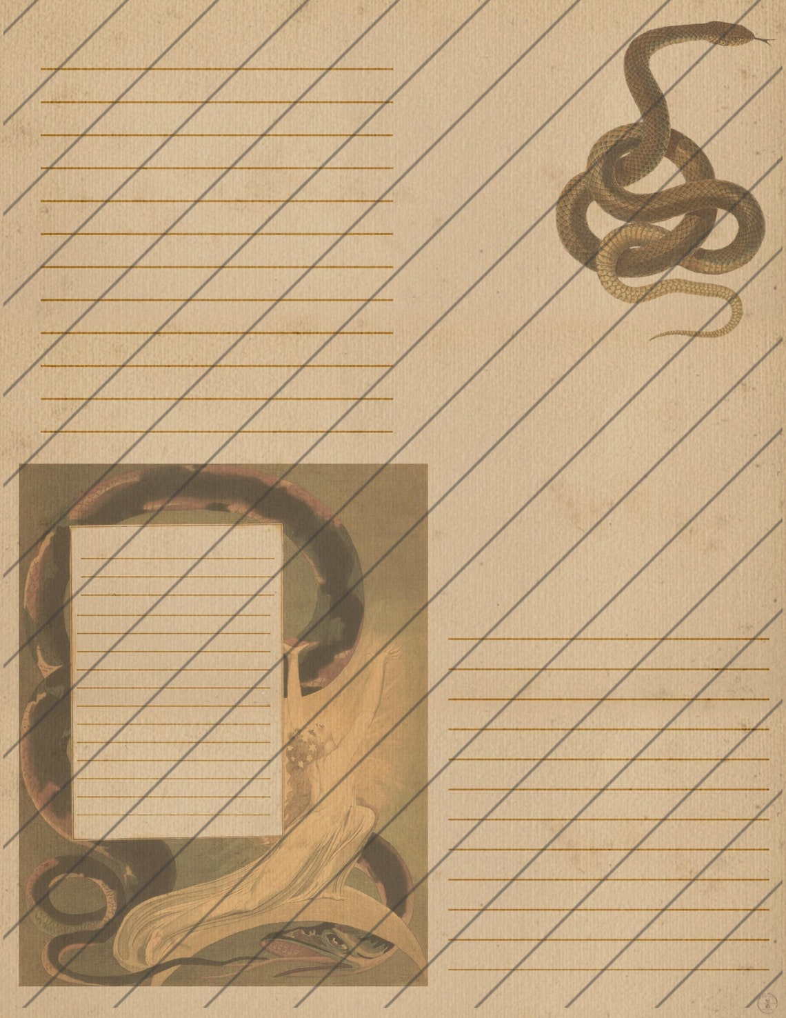 Book of Shadows Pages Spell Pages Digital Download Grimoire - Etsy