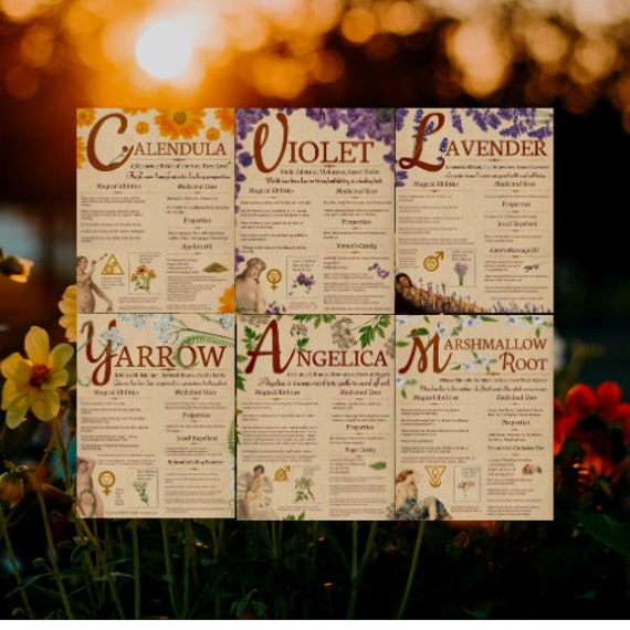 Book of Shadows Pages Flower Grimoire Digital Download | Etsy