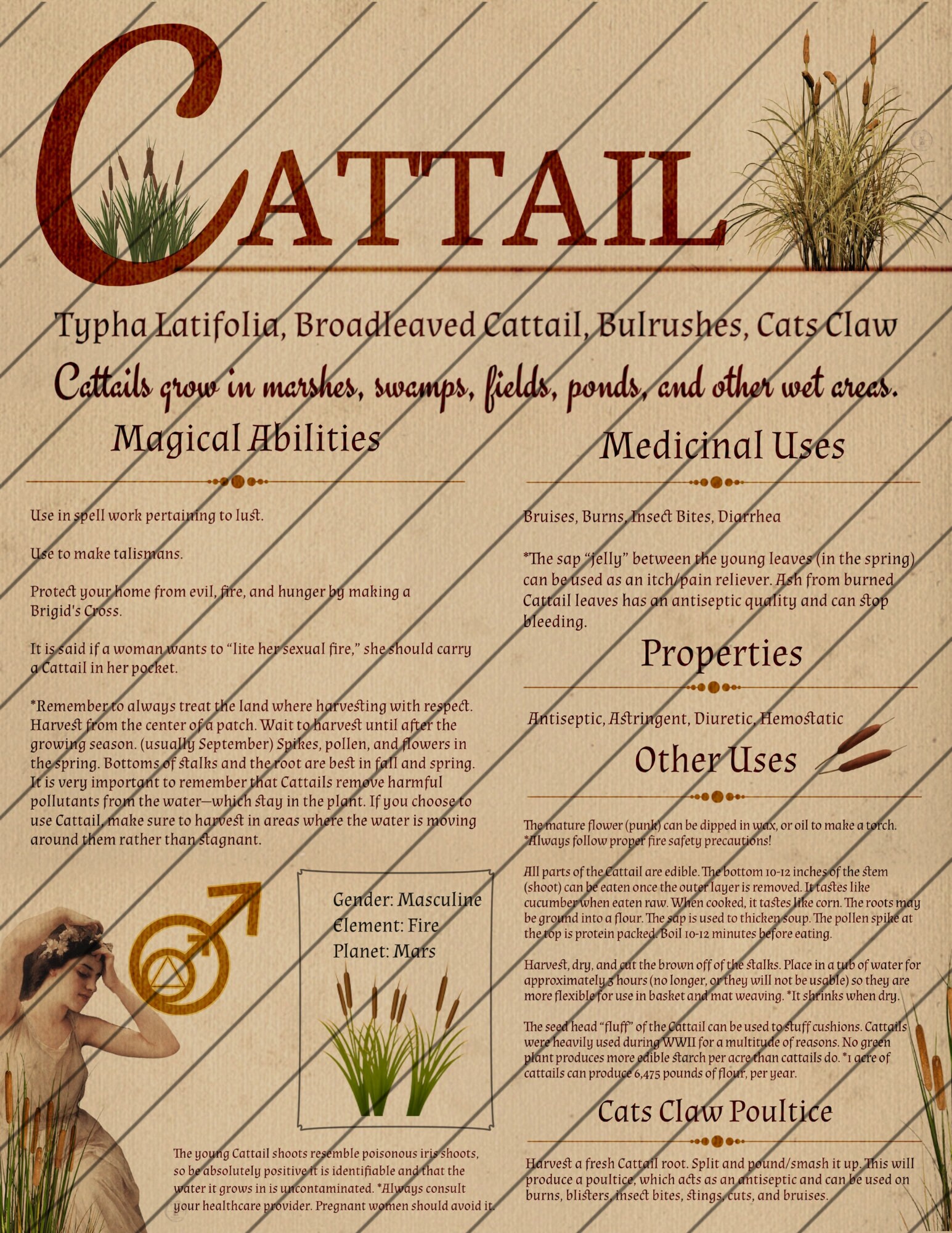 Book of Shadows Pages Plant Grimoire Digital Download - Etsy Canada