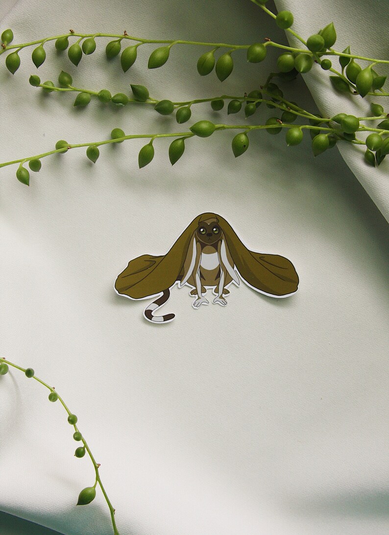 Lord Momo of the Momo Dynasty Avatar the Last Airbender | Etsy