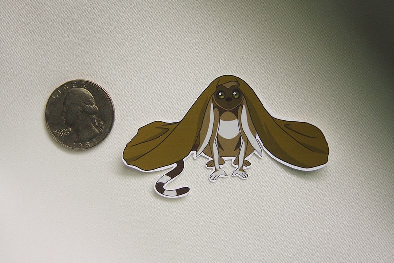 Lord Momo de la dinastía Momo Avatar la última pegatina | Etsy