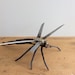 Dragonfly - Etsy