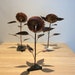 Sunflower - Etsy