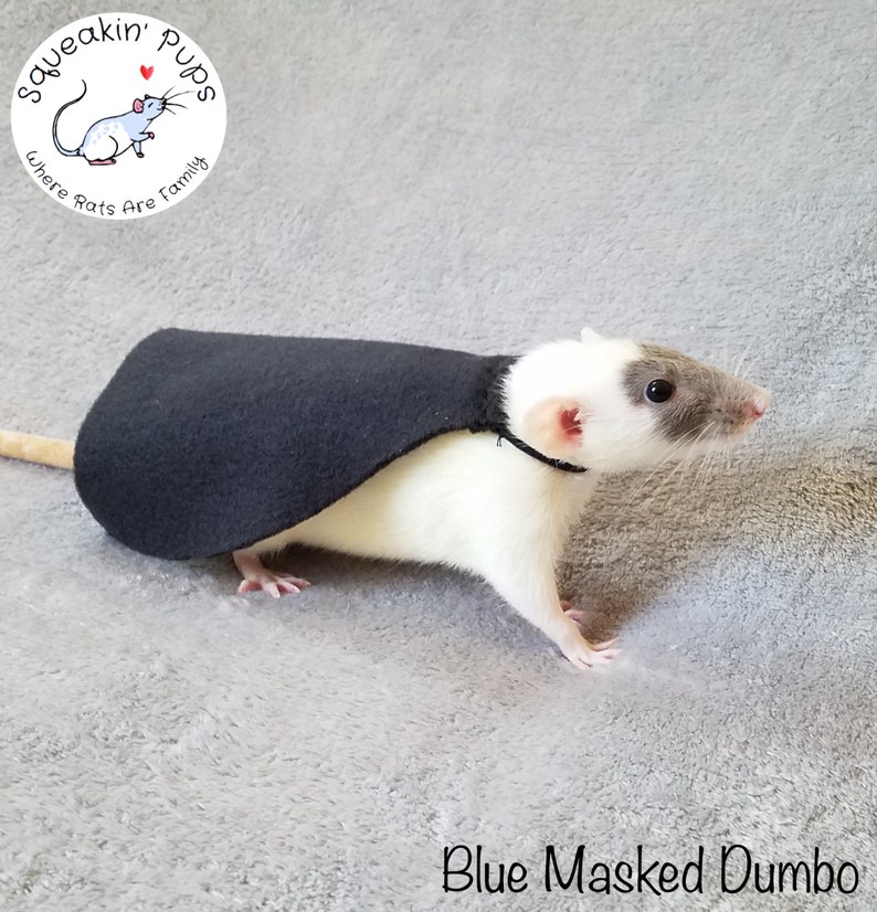 Basic Fleece Cape Costume for Pet Rats Many Colors and Sizes - Etsy