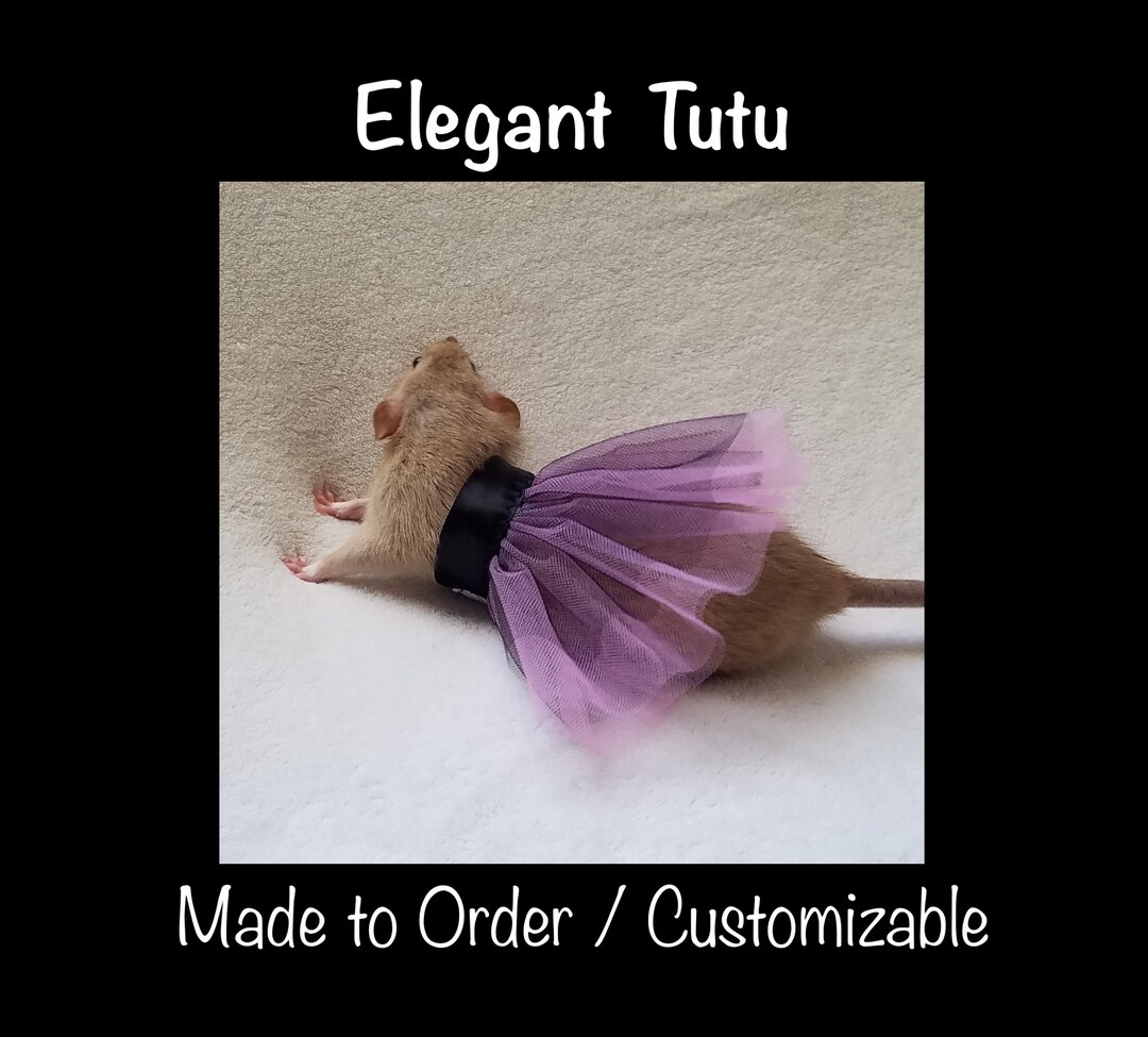 Elegant Tutu Costume for Pet Rats, Many Colors Available, Rat Skirt ...