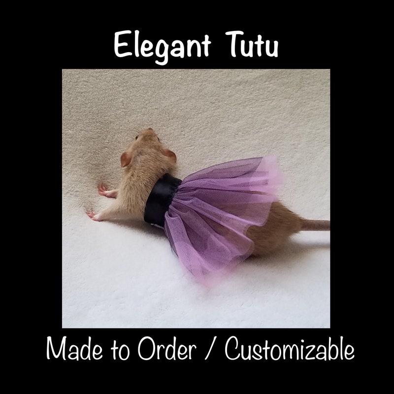 Fancy Rats - Etsy