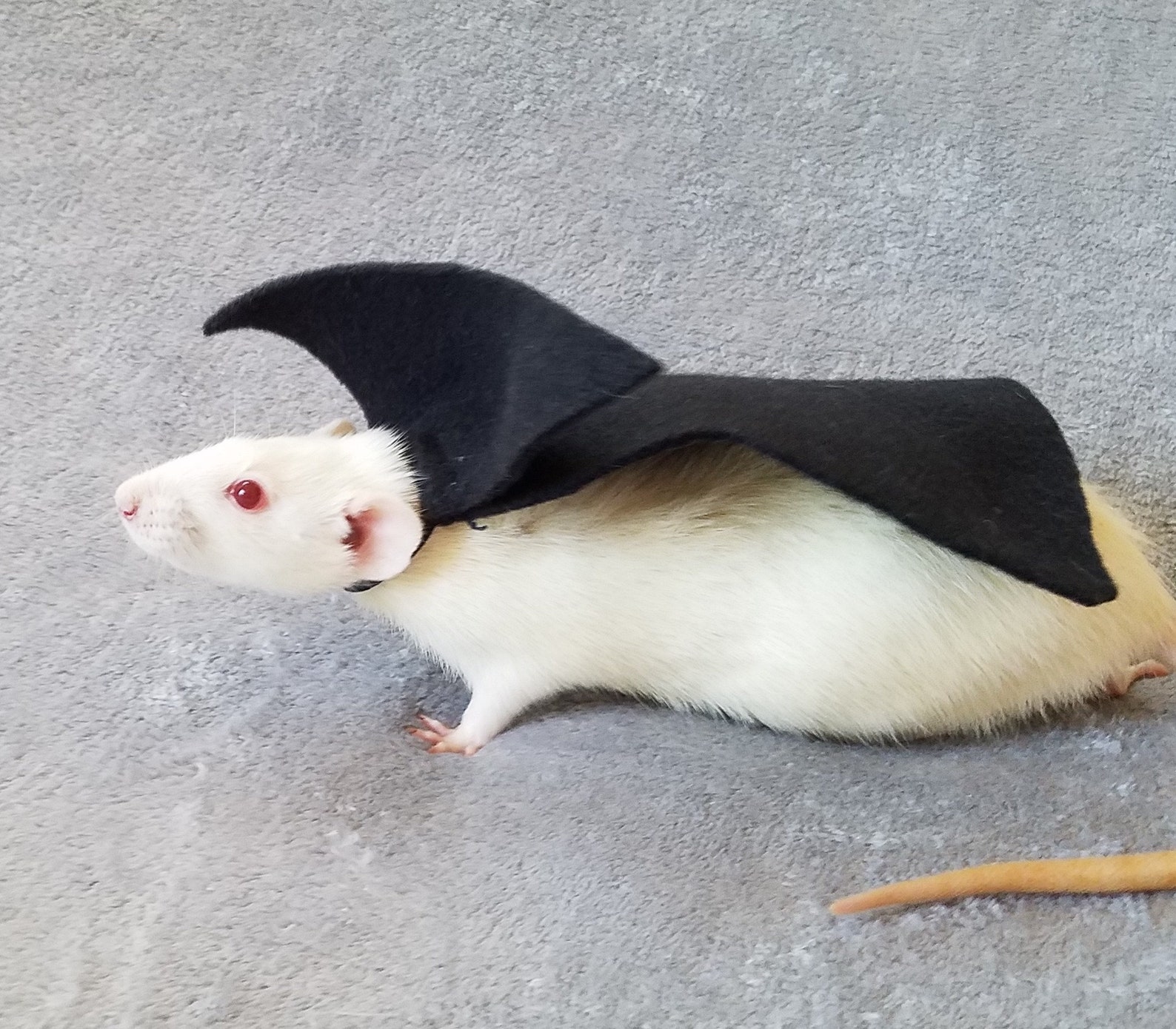 High Collar Vampire Cape Costume for Pet Rat, Multiple Colors Available ...