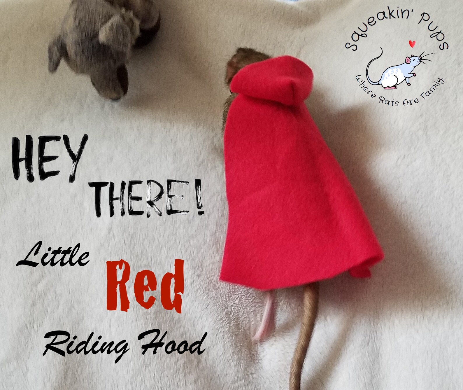 Hooded Cape Costume for Pet Rats Many Colors Available Rat | Etsy