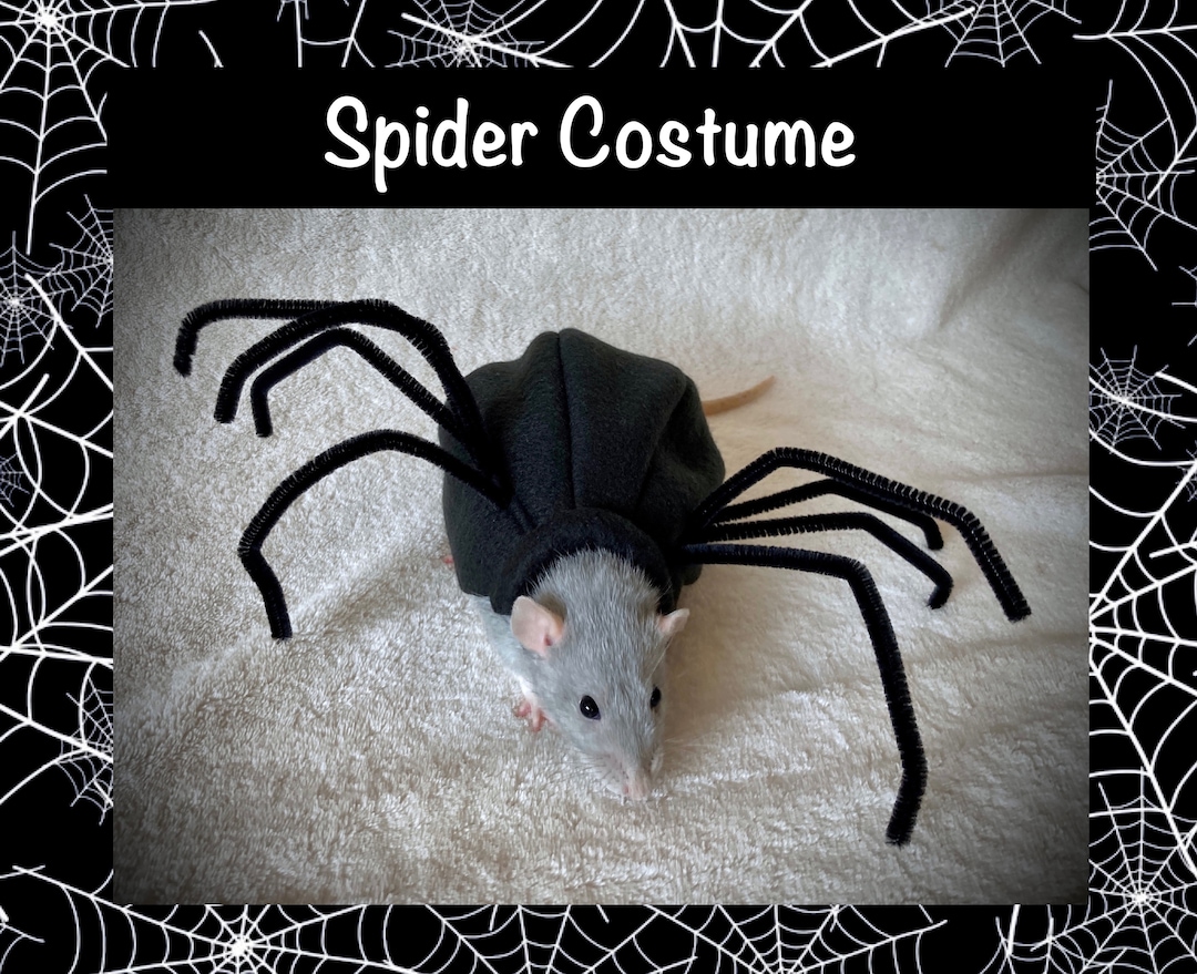 Spider Costume for Pet Rats / Small Animal Pet Costume / Rat Costume ...