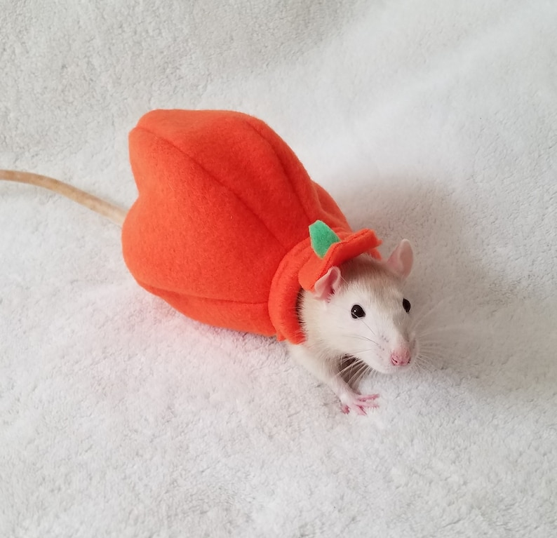 Pumpkin Costume for Pet Rats, Halloween Pet Costume, Rat Costume, Cute ...