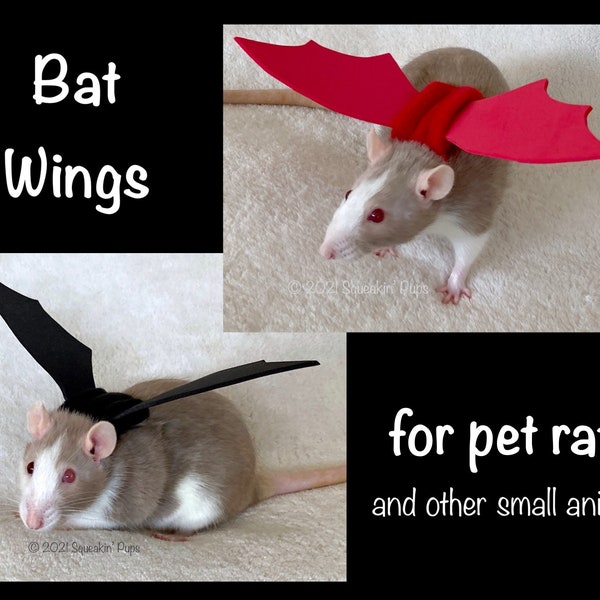 Pet Costume - Etsy