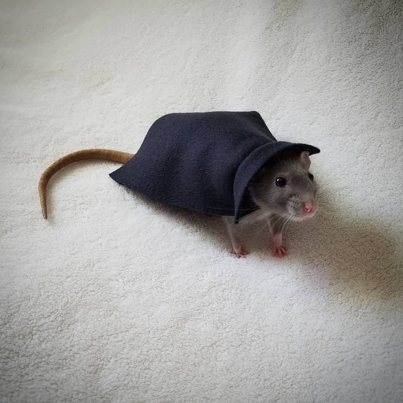 Highway Rat Costume - Etsy UK