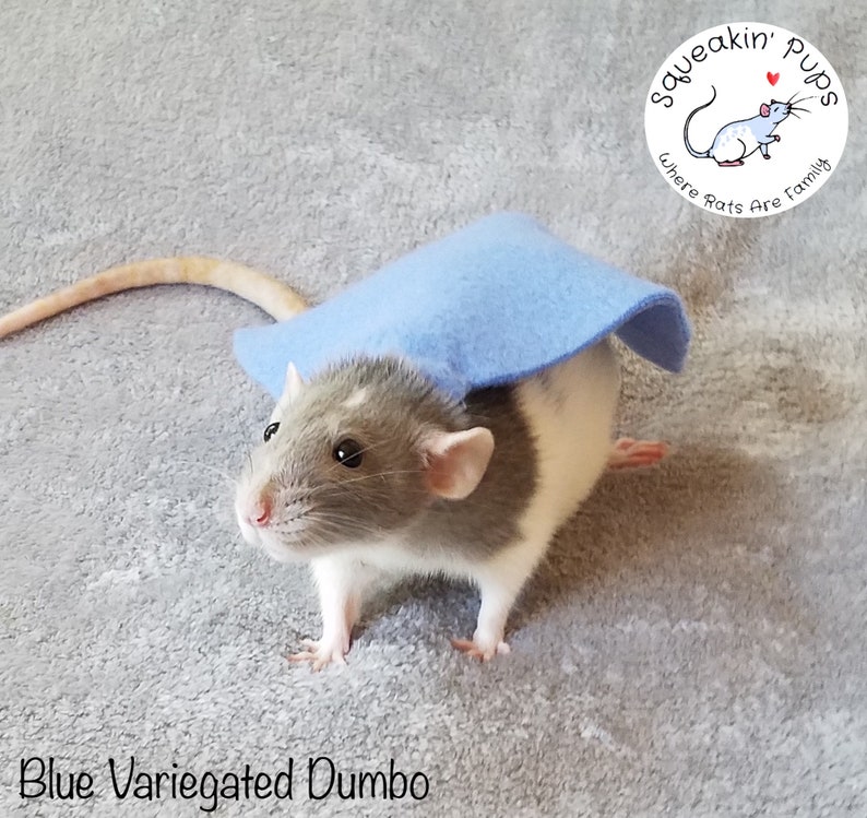 Basic Fleece Cape Costume for Pet Rats Many Colors and Sizes - Etsy