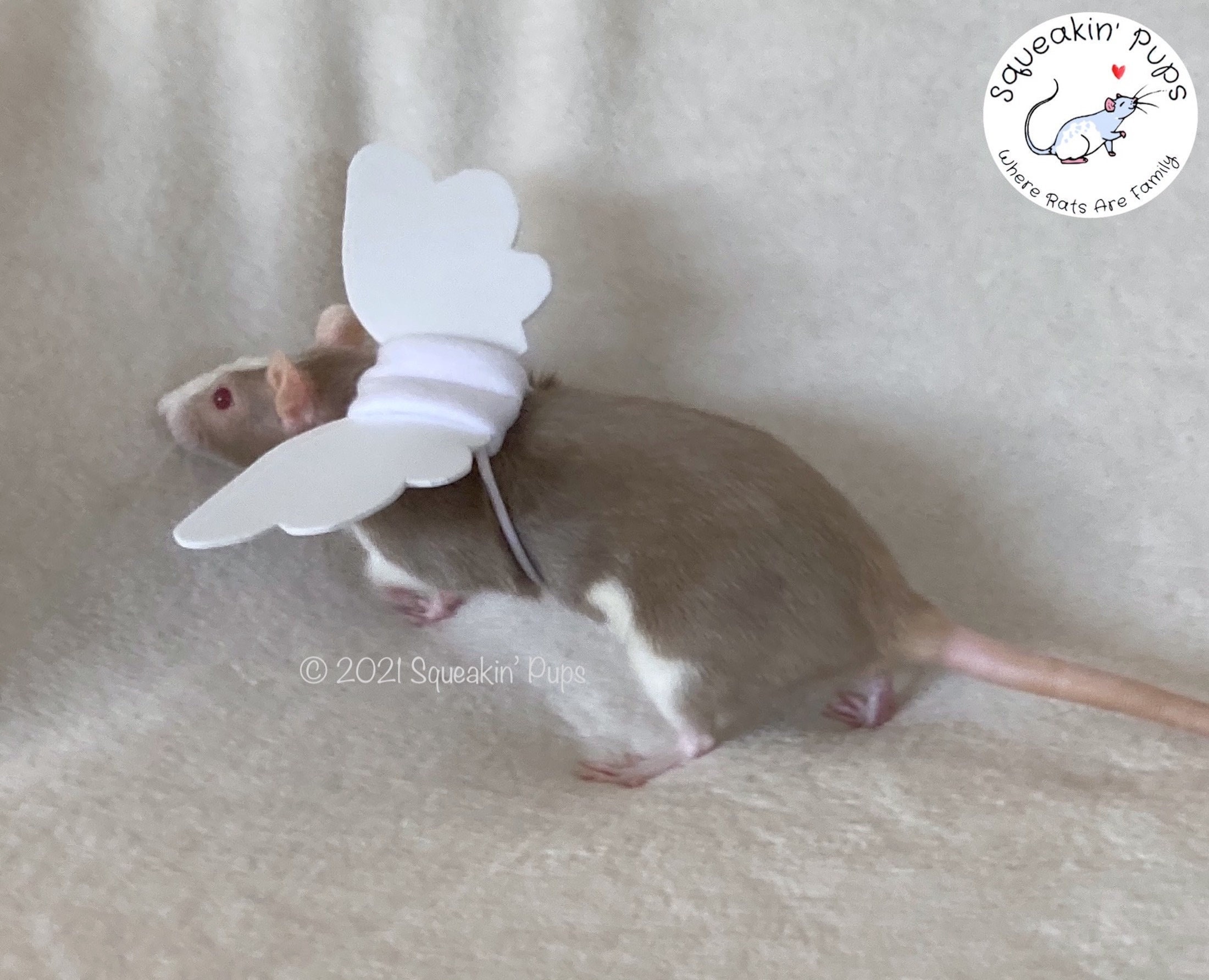 Angel Wings Rat Costume, Halloween Pet Costume for Rats, Customizable ...