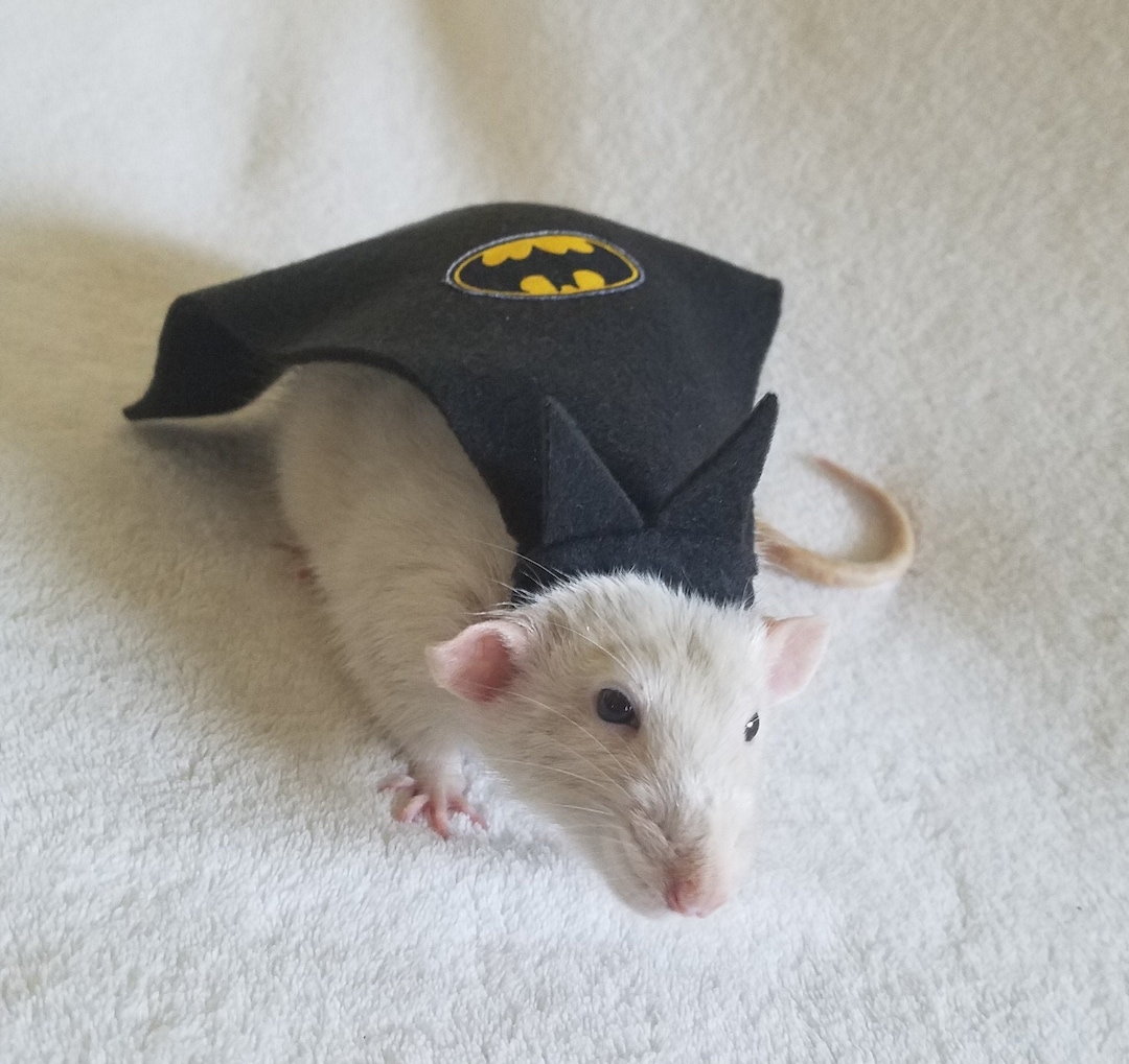 Batrat Cape and Headband Costume for Pet Rats, Multiple Colors and ...