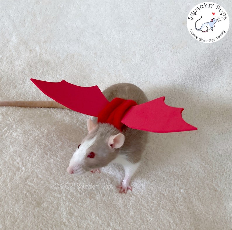 Bat Wings Rat Costume Halloween Pet Costume for Rats - Etsy