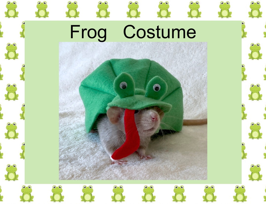 Frog Costume for Pet Rats, Spring Farm Pet Costume, Rat Costumes, Cute ...