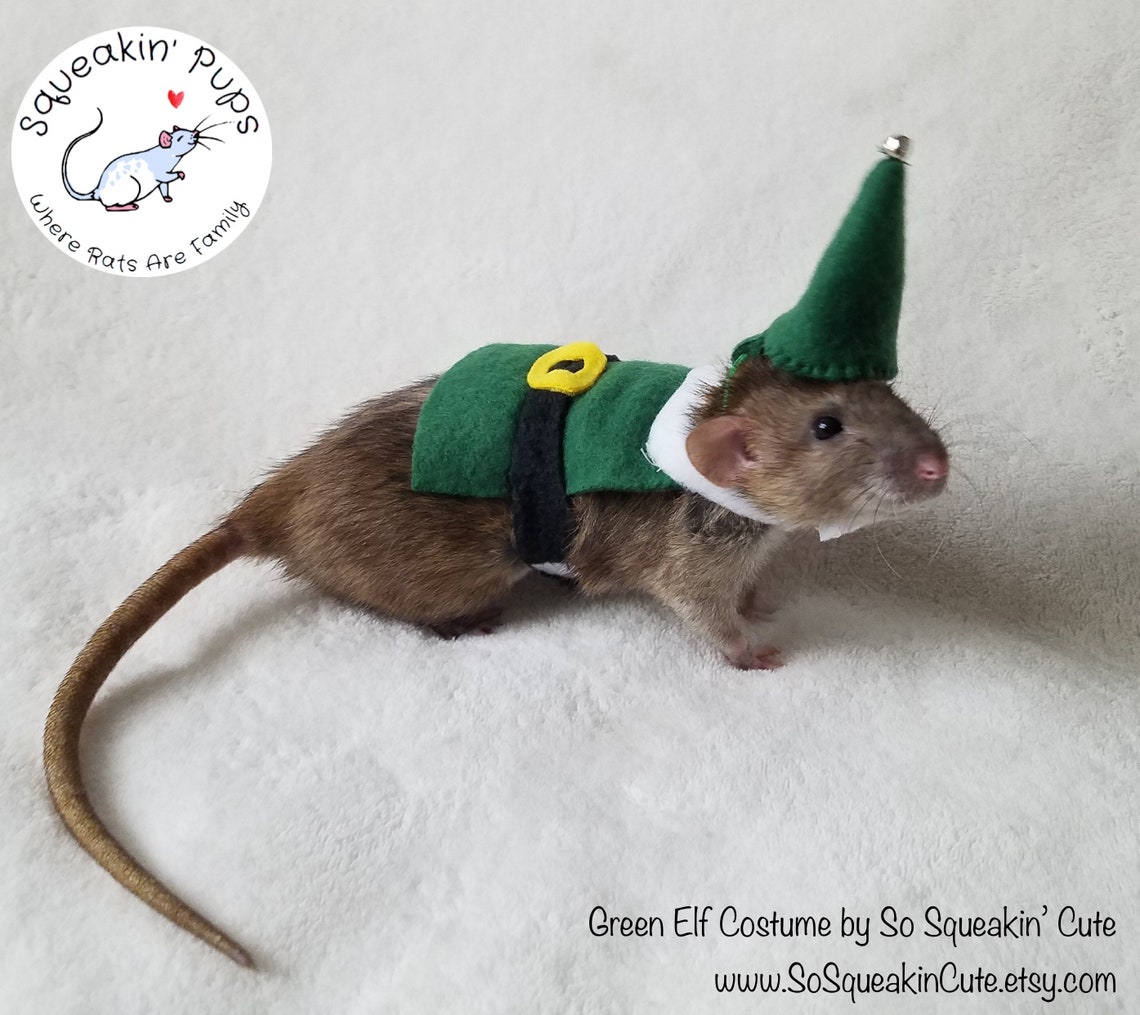 Elf Costume Pet Costume for Rats Santa Helper Rat - Etsy